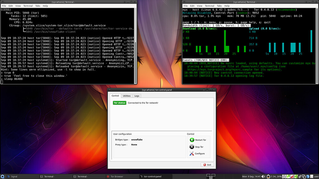 [Quick Start Guide/Fix]Snowflake Proxy in Qubes-Whonix Tor Control ...